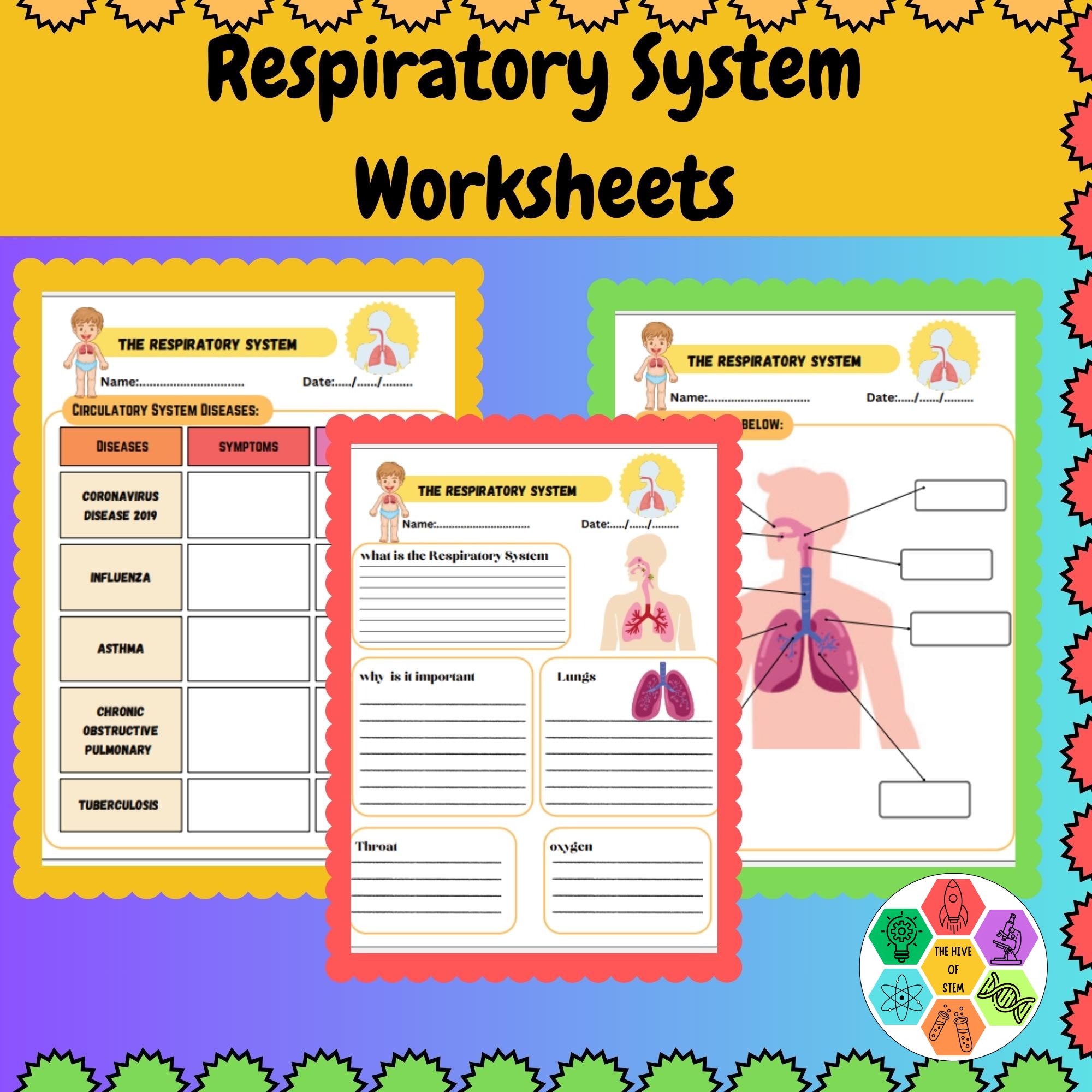 Human Body Systems | Respiratory System | Worksheets and activities ...