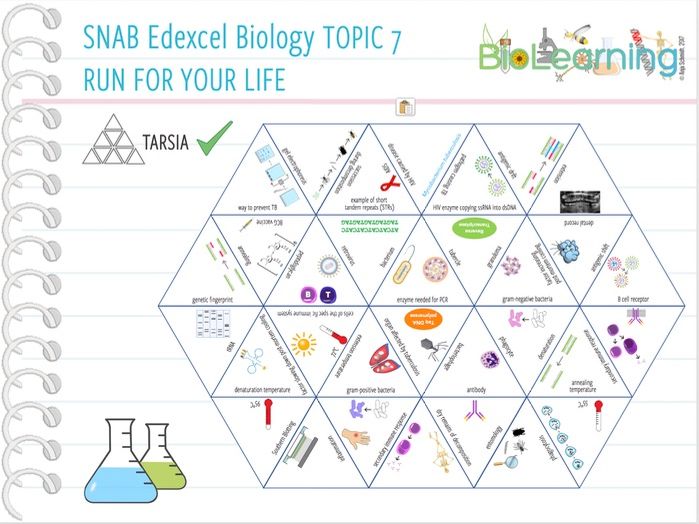 SNAB Biology Topics 5-8 - Tarsia Games | Teaching Resources