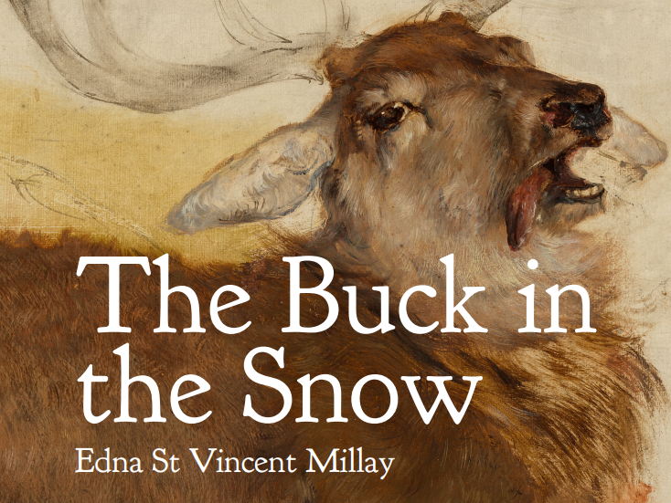 'The Buck in the Snow' by Edna St Vincent Millay - Complete Study Guide ...