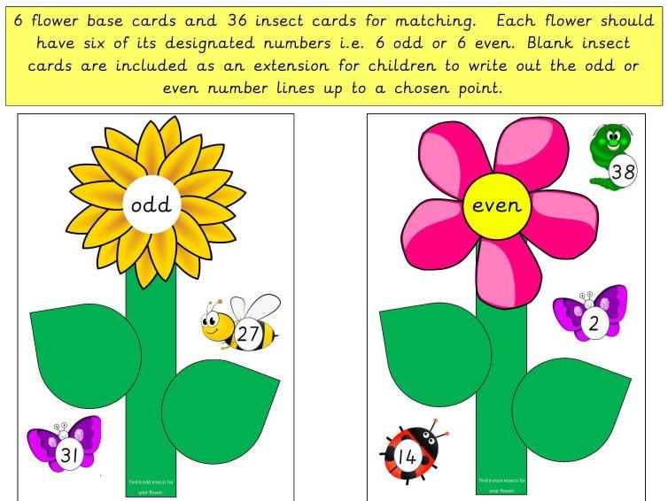 Odd and Even Flowers | Teaching Resources