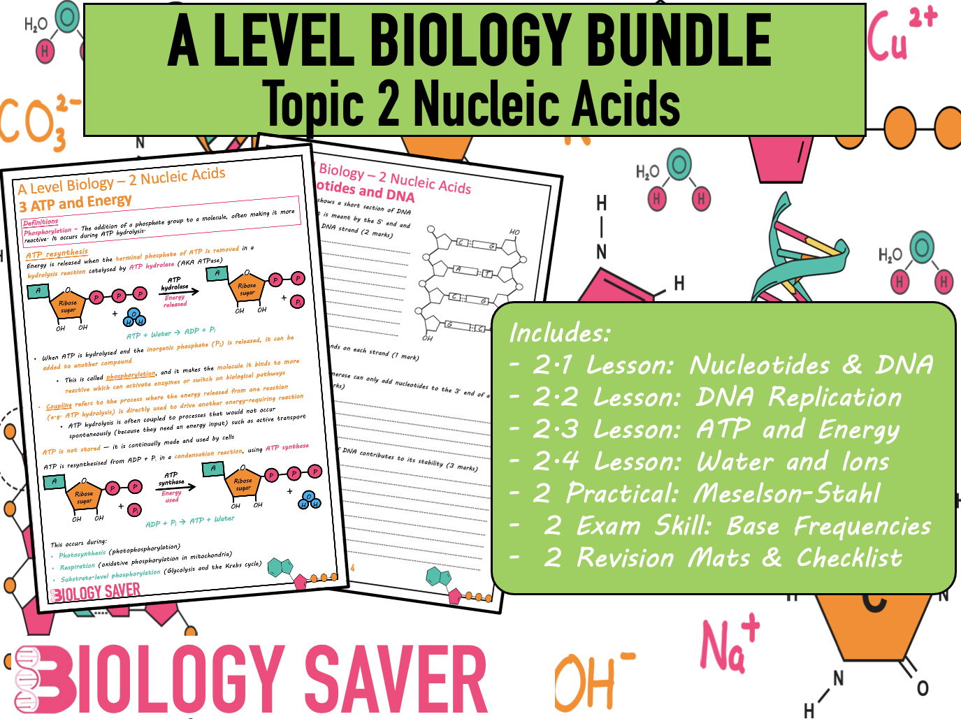 A Level Bio Bundle - 2 Nucleic Acids | Teaching Resources