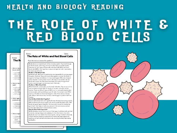 The Role of White and Red Blood Cells - Health Reading Worksheet ...