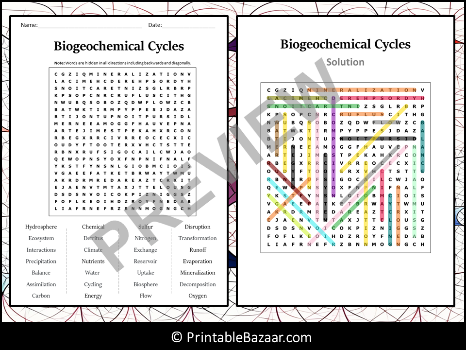 Biogeochemical Cycles Word Search Puzzle Worksheet Activity | Teaching ...