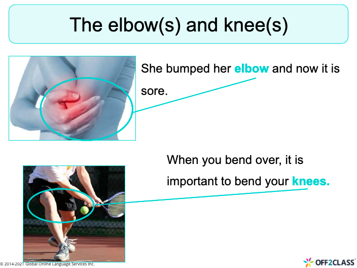 Vocabulary - Body - An ESL/ELL Lesson Plan | Teaching Resources