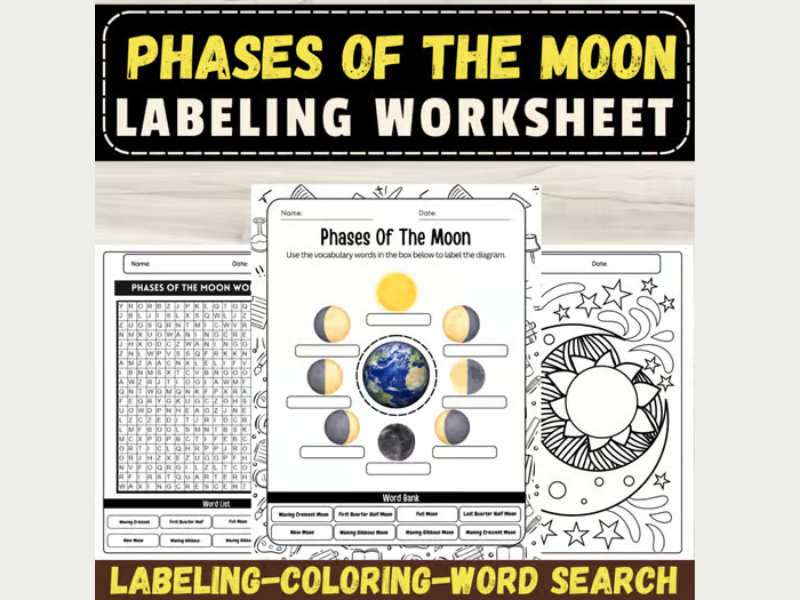 Label the Phases of the Moon Lunar Cycle Worksheet: September ...