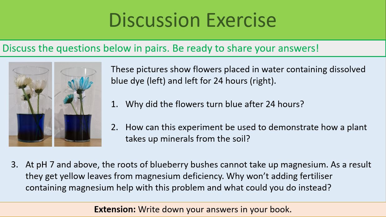 Plant Minerals ~ KS3 ~ Year 8 | Teaching Resources