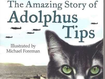 The Amazing Story of Adolphus Tips- Guided Reading Planning | Teaching ...