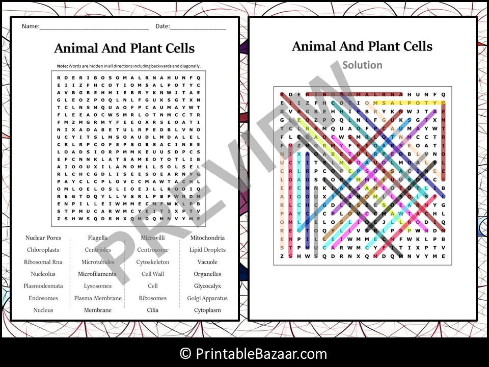 Animal And Plant Cells Word Search Puzzle Worksheet Activity | Teaching ...