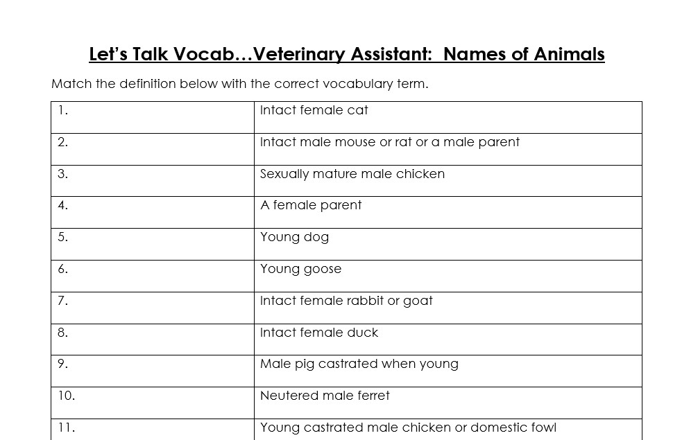Let's Talk Vocab...Veterinary Technician: Animal Names (Animal Science ...