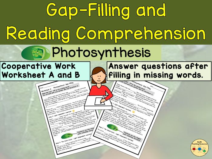 Photosynthesis Gap Filling Cloze Activity Worksheets Reading 