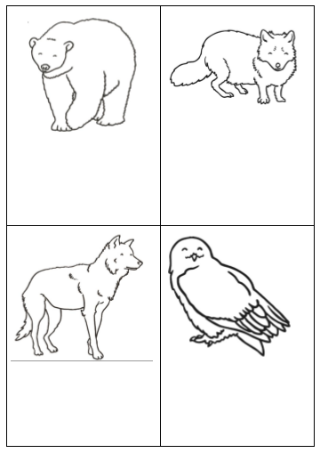 Arctic Mini Book Writing Templates | Teaching Resources