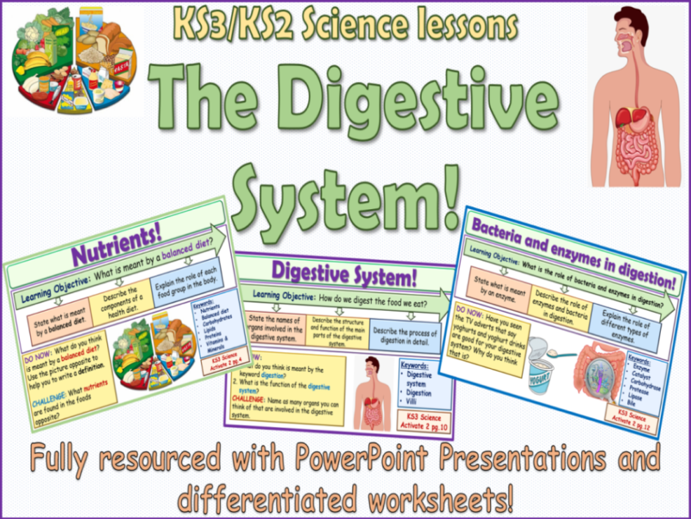 Health: Primary Science Teaching Resources and Materials ǀ Tes