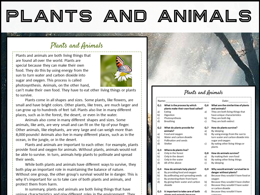 Primary Teaching Resources: Activities for Year 1-6 | Tes