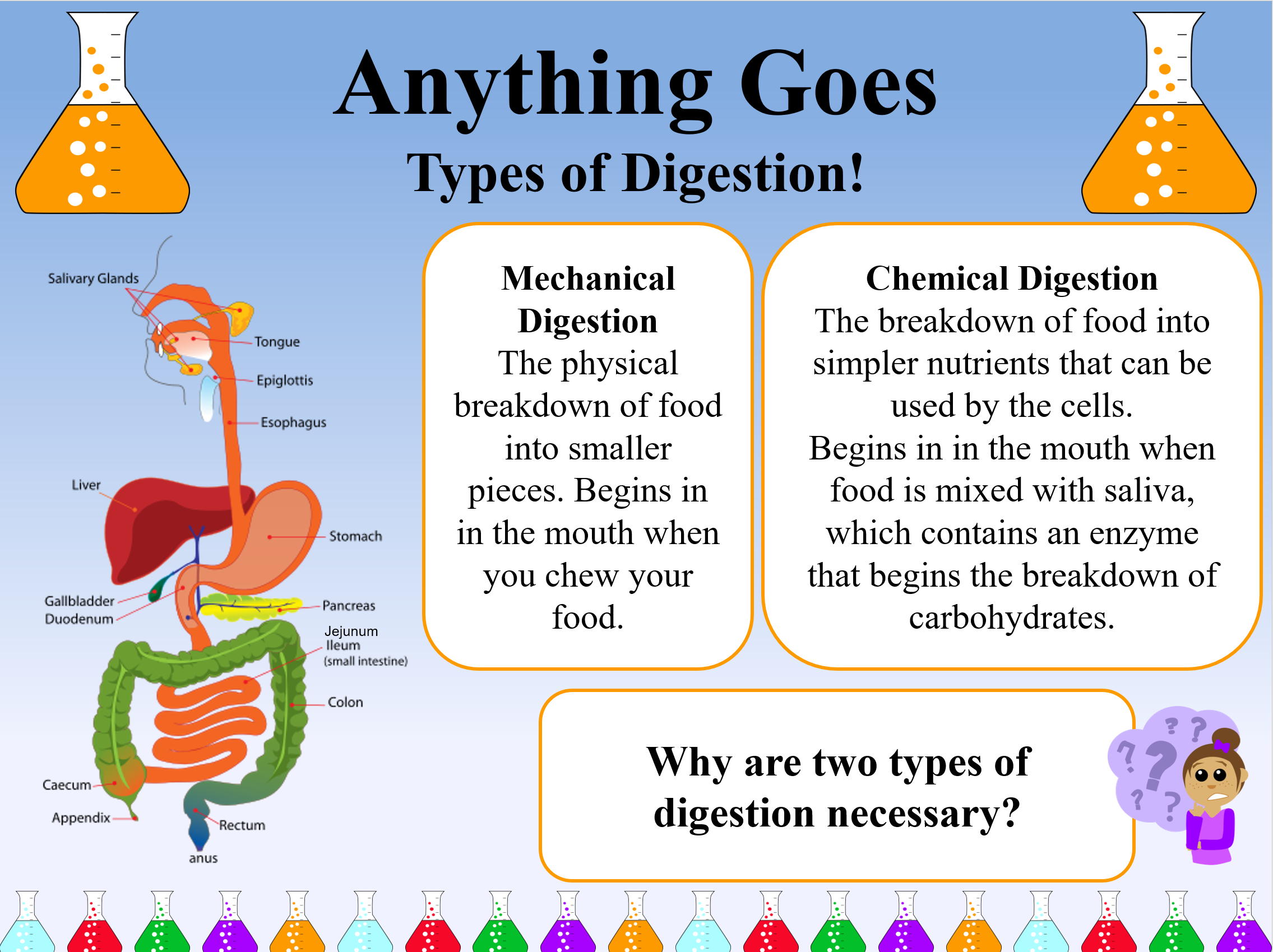 Four Weeks of Human Body Part 3 Bellringers Warm Ups | Teaching Resources