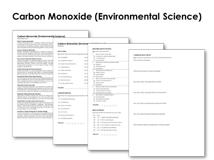 Carbon Monoxide (Environmental Science) | Teaching Resources