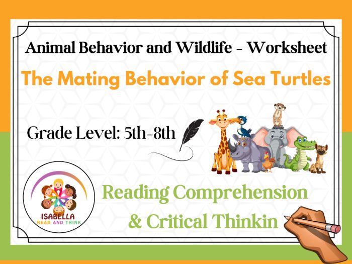 The Mating Behavior of Sea Turtles: Reading Comprehension Passages ...