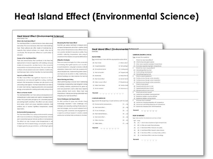Heat Island Effect (Environmental Science) | Teaching Resources