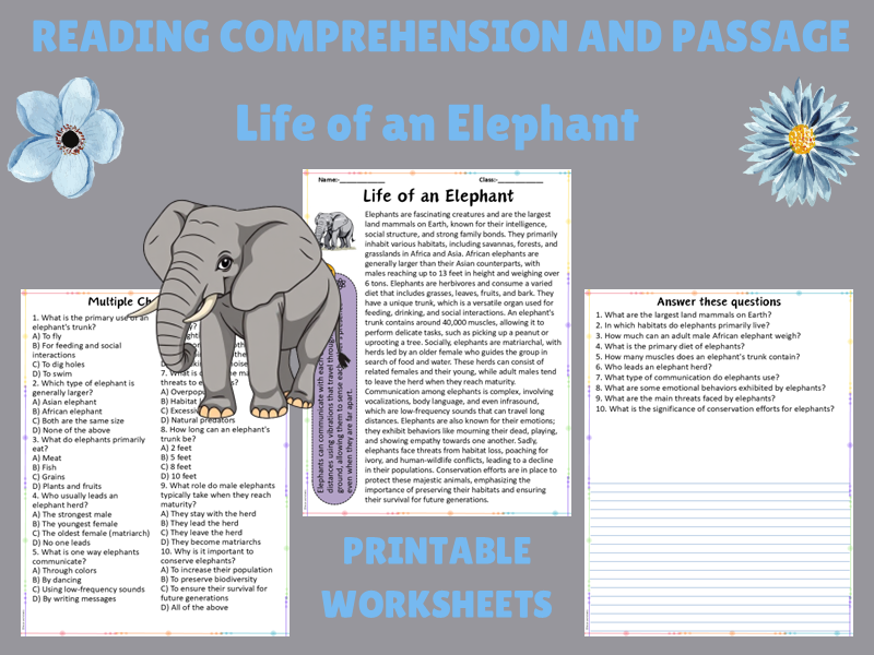 Discovering Elephants: Engaging Reading Passage & Thought-Provoking ...
