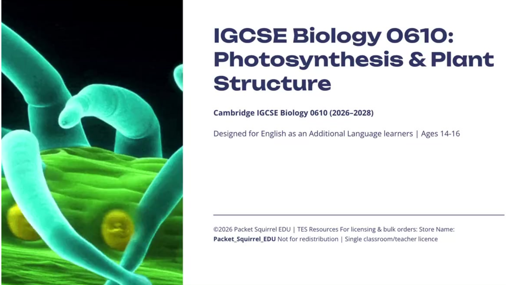 IGCSE Biology 0610 Photosynthesis & Plant Structure | Teaching Resources