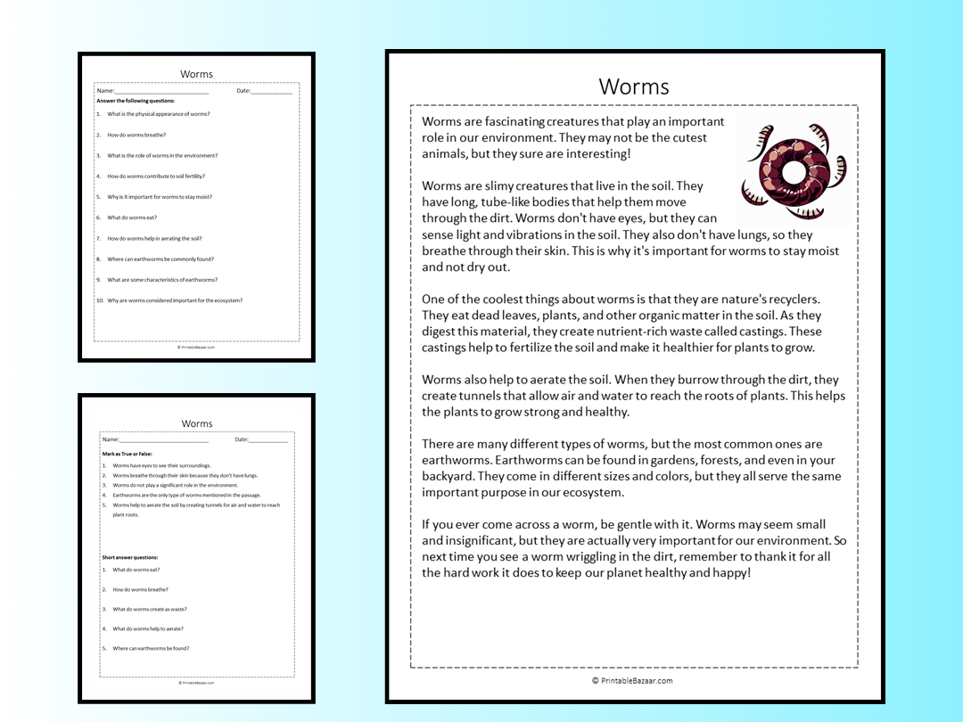 Worms Reading Comprehension Passage Printable Worksheet | Teaching ...