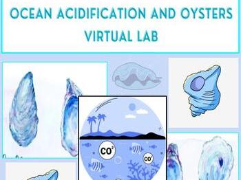 Ocean Acidification & Oysters VIRTUAL LAB Interactive Google Slides ...