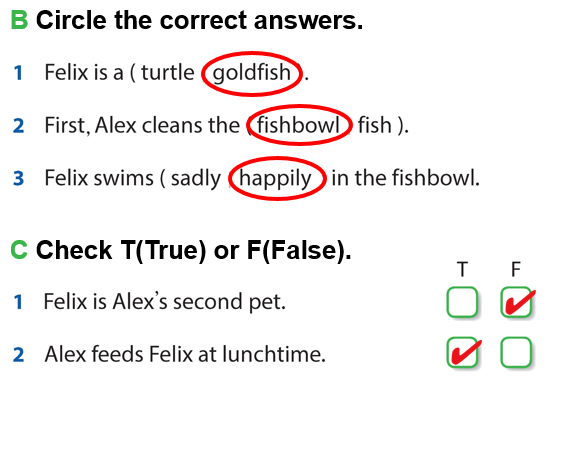 Reading Comprehension with Activities for Grade 2 & 3 | Teaching Resources