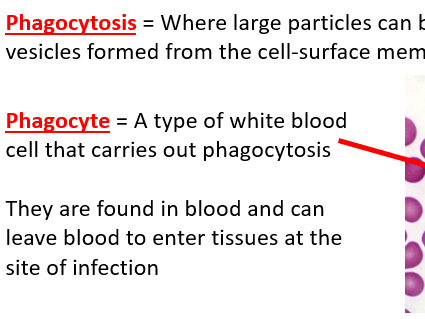 Middle School Teaching Resources: 6th, 7th, 8th Grade | Tes