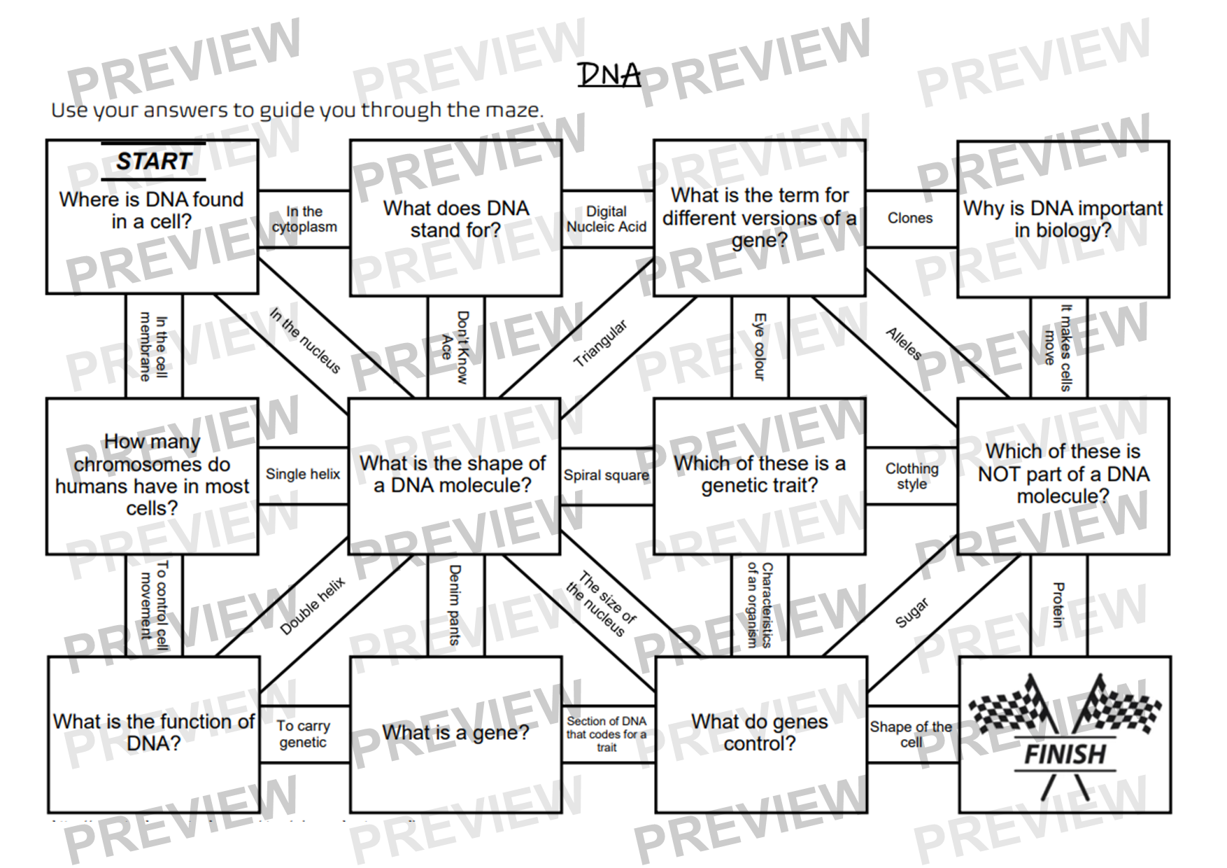 DNA Maze Worksheet | KS2–KS3 Science Revision Activity | Teaching Resources