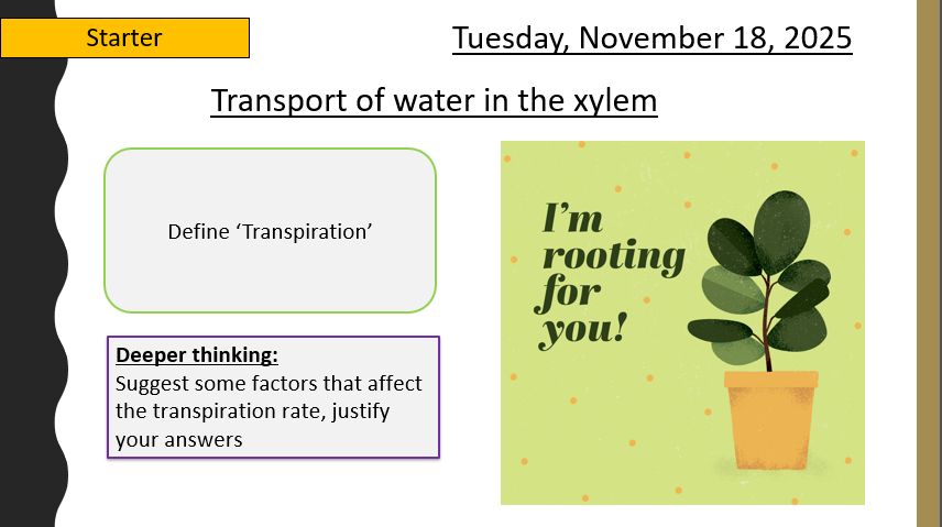 AQA A-Level New specification - 3.3.4.2 Transpiration (Mass transport ...