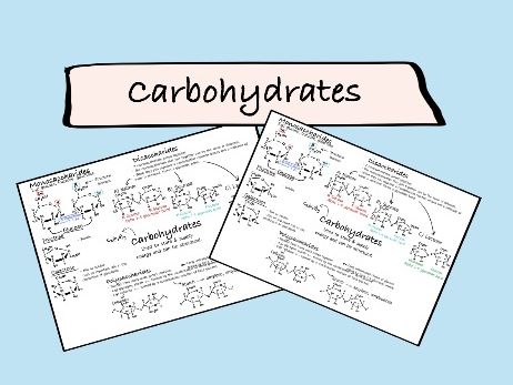 Carbohydrates Summary Sheet - A level Biology | Teaching Resources