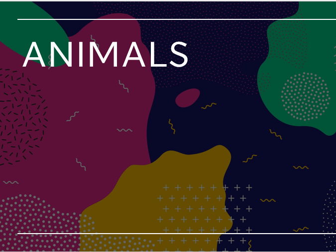 Animals and Habitats: Primary Science Teaching Resources ǀ Tes