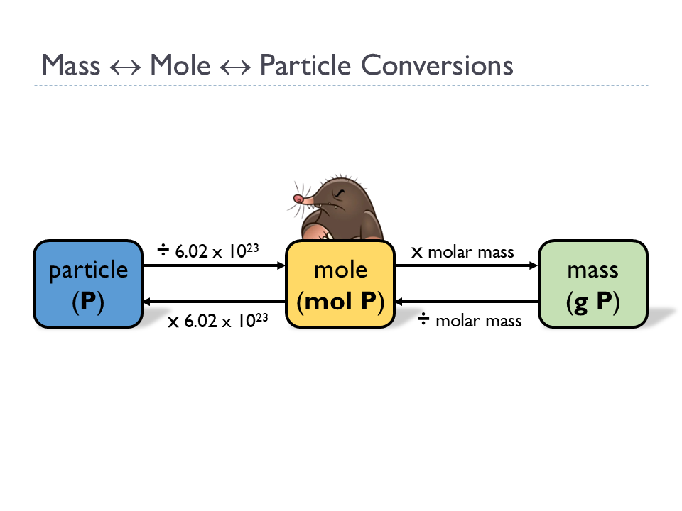 Mole-Mass-Particle Conversions (Animated Chemistry PowerPoint ...