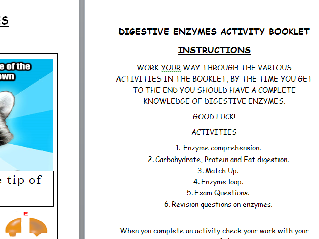 Enzyme activity workbook. | Teaching Resources