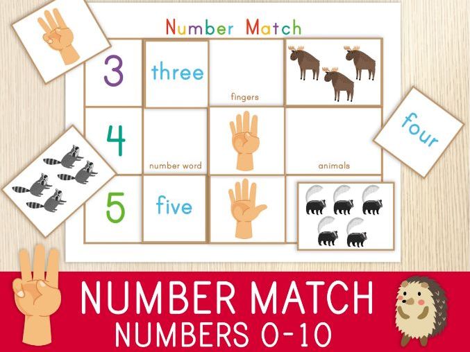 Number Matching Activity - Math Worksheet | Teaching Resources