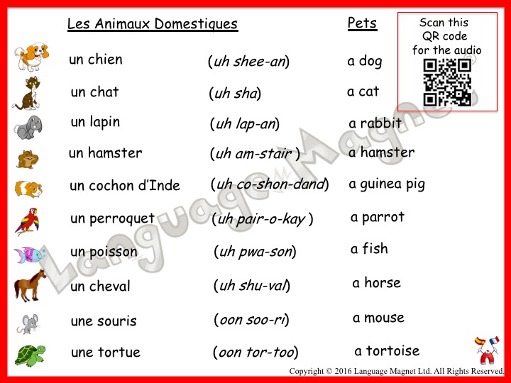 French Pets Topic Resources Bundle | Teaching Resources