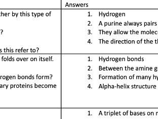 A level Biology - Nucleic Acids Quiz and revision sheet | Teaching ...