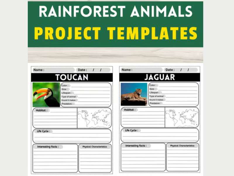 200 Animals Research Project Templates Bundle | Informational Report ...