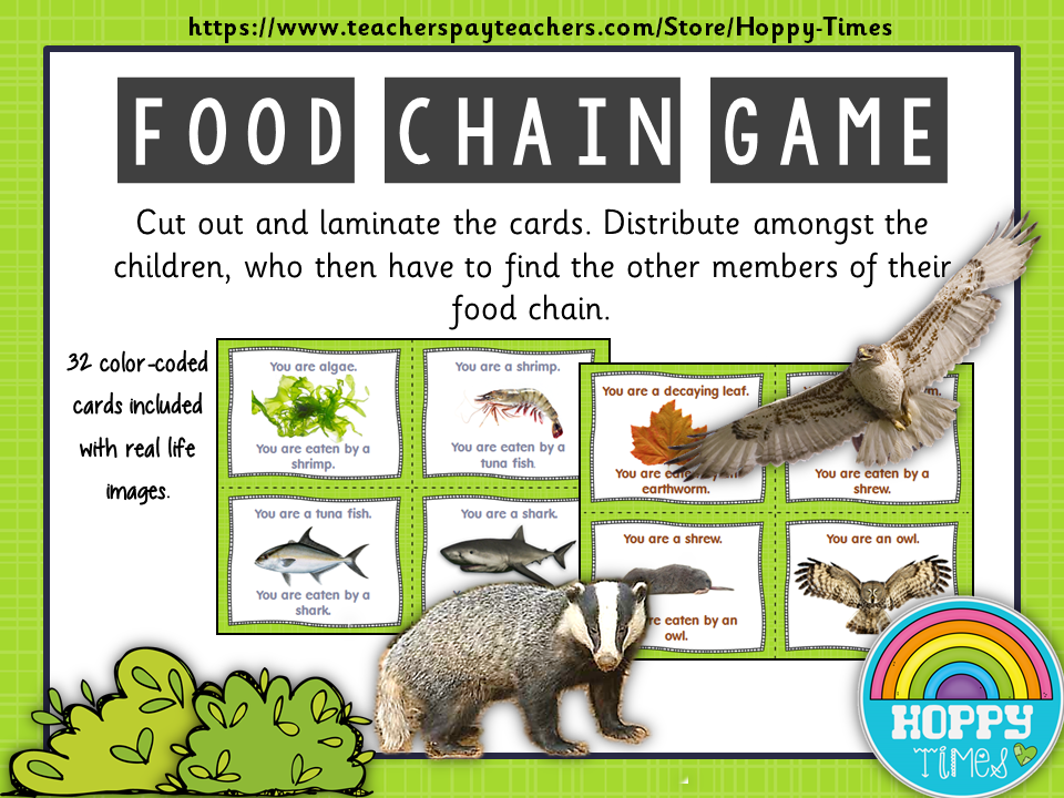 FOOD CHAIN PREDATOR PREY Game Activity Teaching Resources FOOD CHAIN PREDATOR PREY Game Activity Teaching Resources
