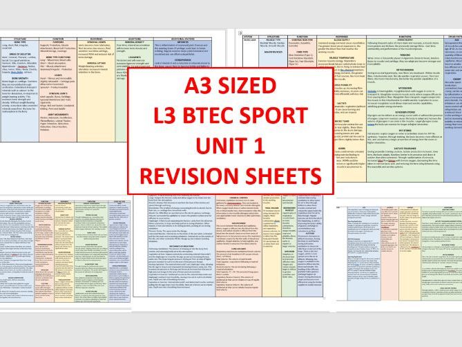L3 BTEC Sport Unit 1 Whole Spec Revision Sheets Teaching Resources