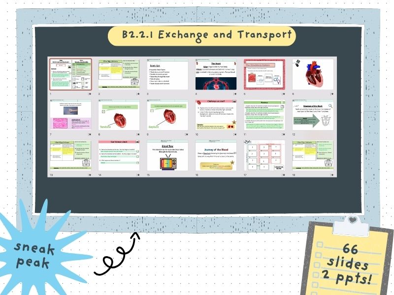 The Heart and Blood - OCR GCSE Biology - B2.2.3 | Teaching Resources