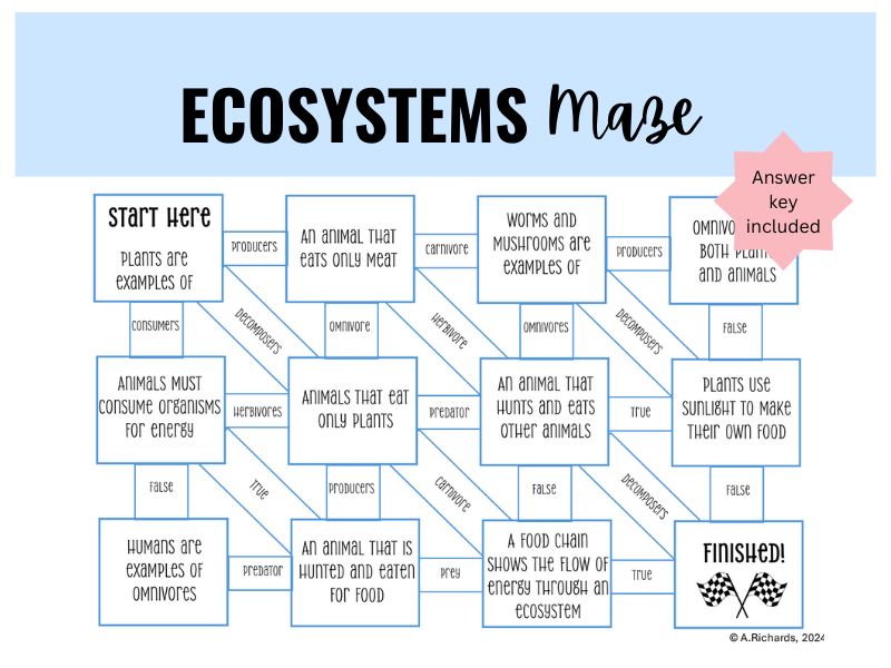 Ecosystems Maze Worksheet | Teaching Resources
