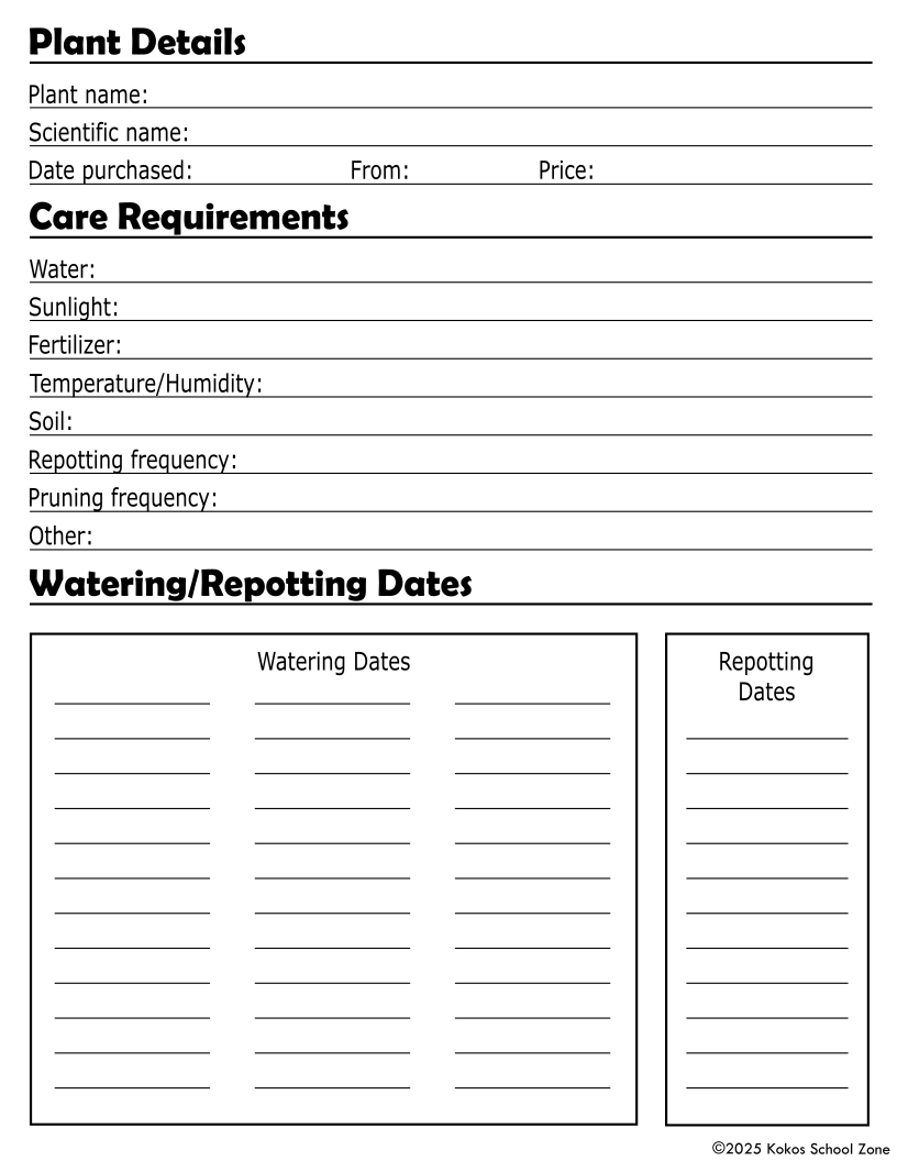 Plant & Seed Observation Sheets - KS1/KS2 Printable Science Activity ...