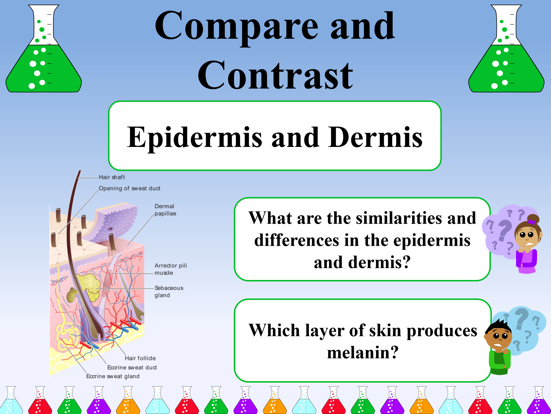 Four Weeks of Human Body Part 2 Bellringers Warm Ups | Teaching Resources
