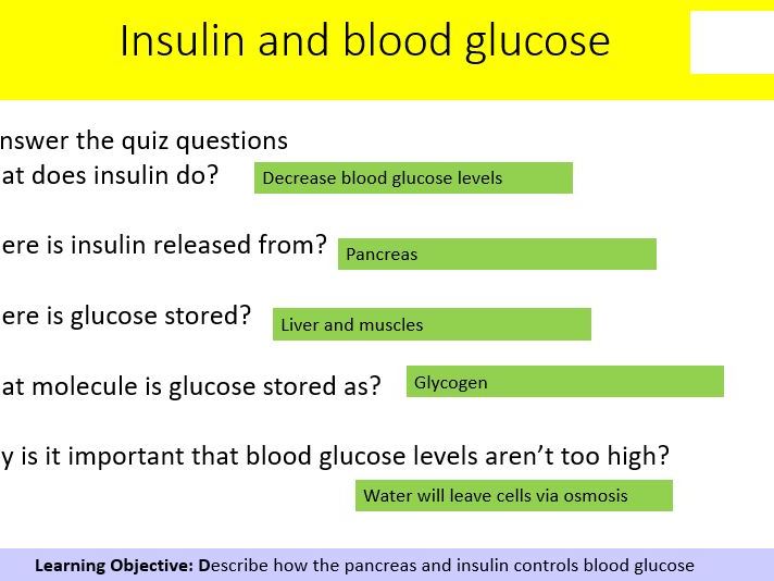 Blood Glucose Levels Teaching Resources