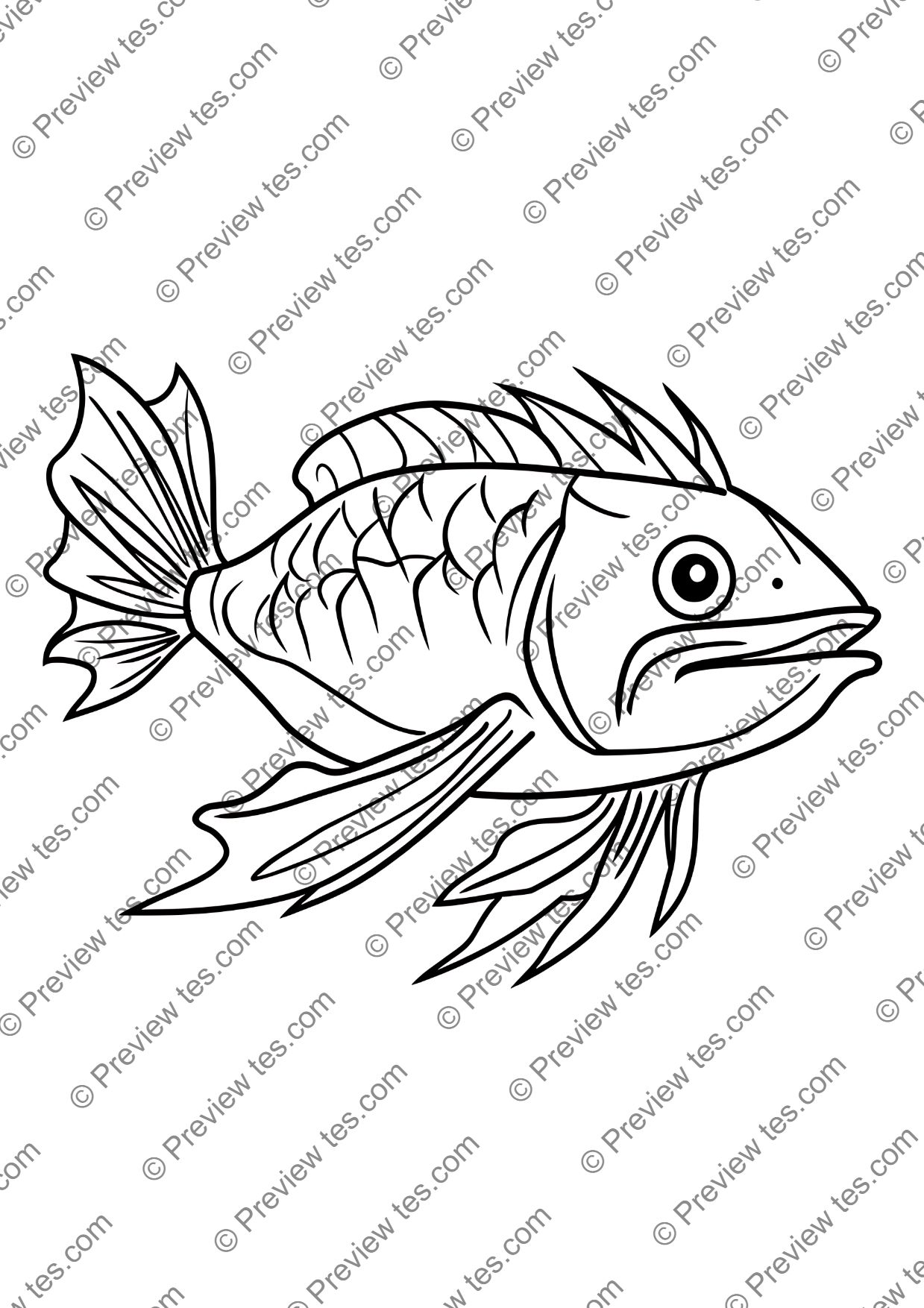 Ocean Animals Colouring Pages | Marine Life Art Activities for Kids ...