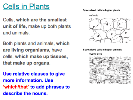 Plant Cells, Tissues and Organs: writing descriptions | Teaching Resources