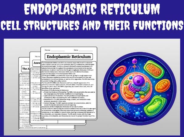 Endoplasmic Reticulum Reading Comprehension Passages & Questions ...