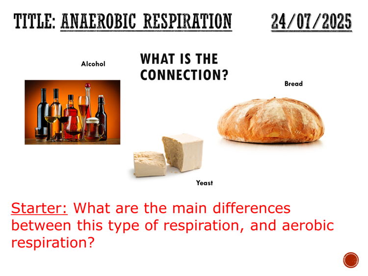 Anaerobic respiration - complete lesson (GCSE 1-9) | Teaching Resources