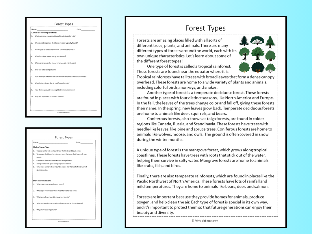 Forest Types Reading Comprehension Passage Printable Worksheet ...