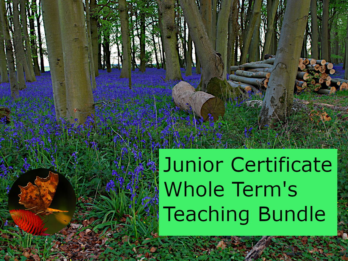 Junior Certificate English Whole Term s Teaching Bundle Teaching